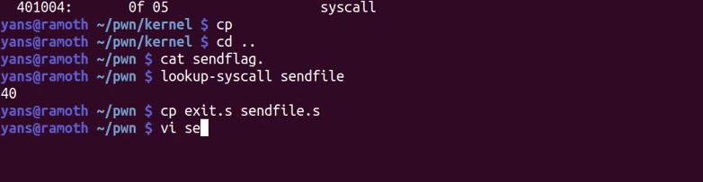 PwnCollege - SystemSecurity - KernelSecurity - 0P1N